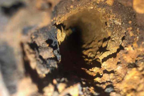 Why a sewer & drain inspection is important for your house - Green Moles